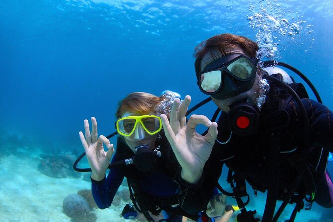 Baptism in the Northern Marine Reserve of Menorca - Key Points