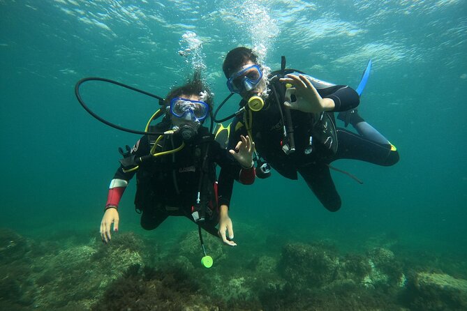 "Baptism of the Sea: Diving on the Island of Elba" - Discover the Underwater World of Elba with “Baptism of the Sea”