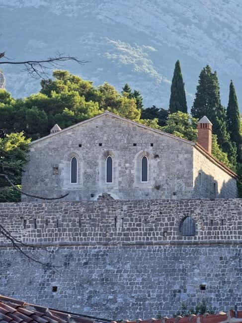 Bar: City Tour with Museum and Old Olive Tree Visit - Who Is This Tour Best For?