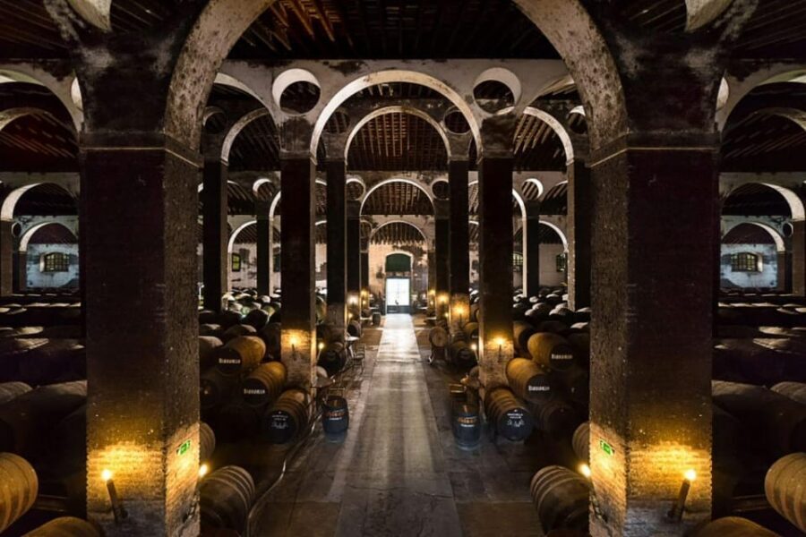 Barbadillo Winery Guided Tour in Cadiz with Wine Tasting - Why This Tour Works Well for Travelers