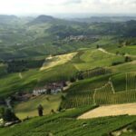 Barbaresco: E-Bike Tour of Piedmont Wineries with Tastings - Who Will Love This Tour?