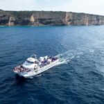 Barbate: Dolphin and Whale Watching in Cape Trafalgar - Who Will Love This Tour?