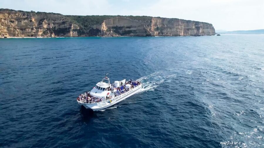 Barbate: Dolphin and Whale Watching in Cape Trafalgar - Who Will Love This Tour?