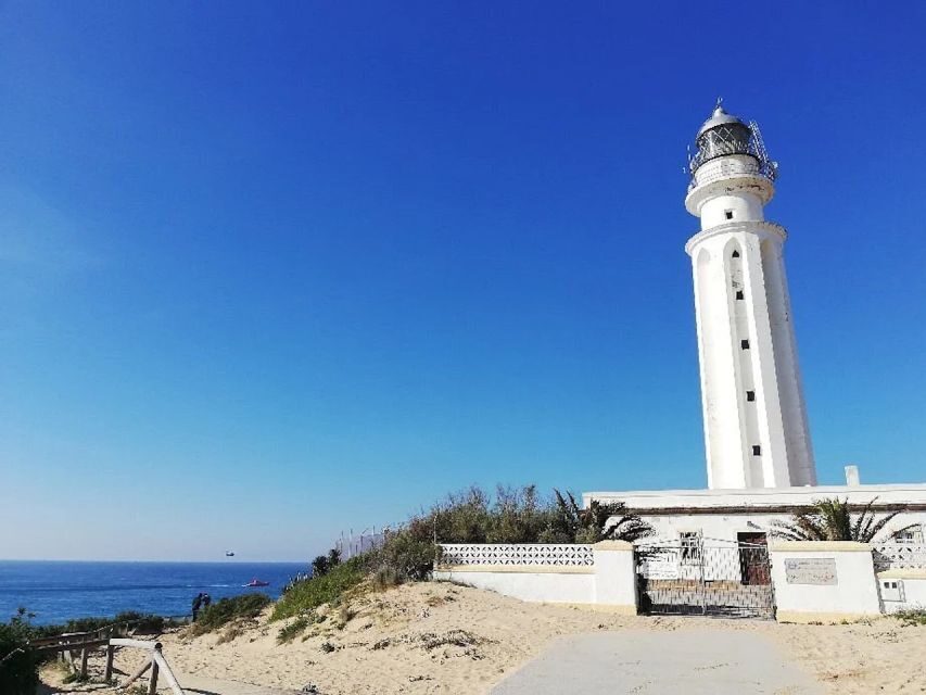 Barbate: La Breña Natural Park and Cape Trafalgar Boat Trip - Itinerary Breakdown