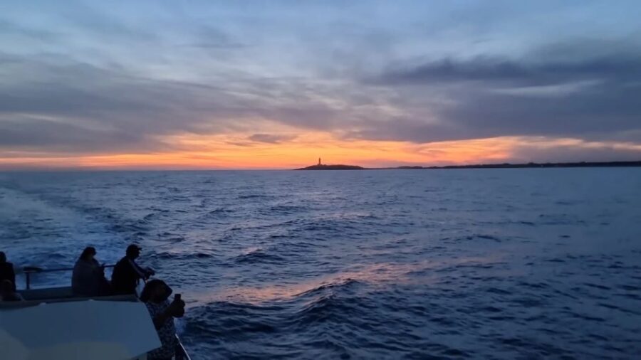 Barbate: Sunset Cruise with Glass of Cava - The Experience and Its Value