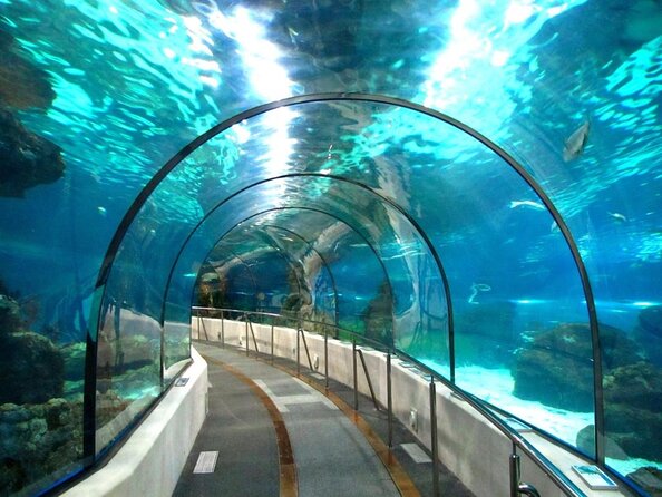 Barcelona Aquarium Skip the Line Ticket - Key Points