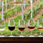 Barcelona: Besalú, Figueres, and Girona Day Trip with Lunch - Pricing and Overall Value
