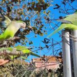 Barcelona bike tour with French guide 20-OP, bike/eBike - What Past Travelers Say
