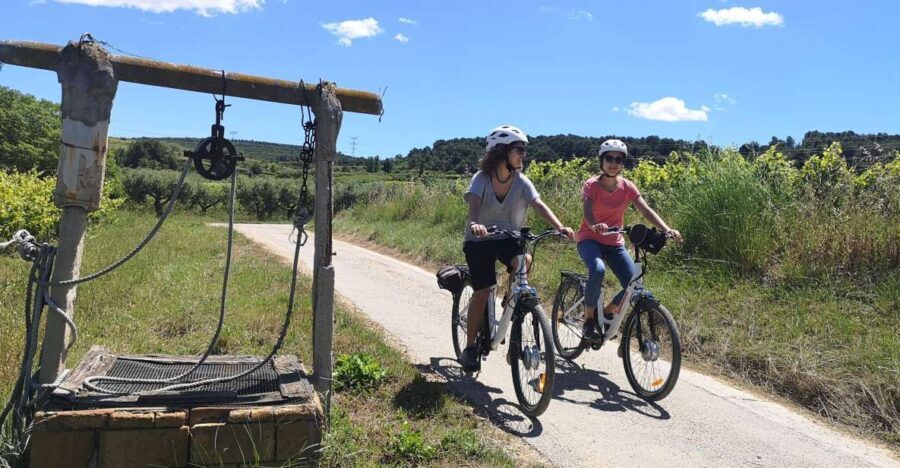 Barcelona: Bike & Wine Guided Tour - Penedès vineyards