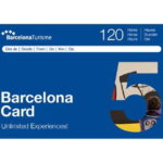 Barcelona Card: 25+ Museums and Free Public Transportation - The Practical Side: Cost, Validity, and Logistics