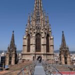 Barcelona: Cathedral of Barcelona Entry Ticket - What You Will Experience on the Tour