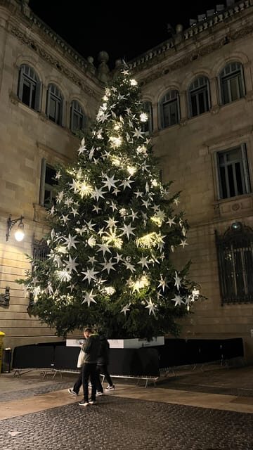 Barcelona: Christmas Lights and Markets Bike Tour - What Travelers Say