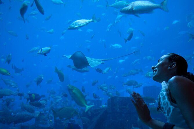 Barcelona City Tour Hop-On Hop-Off and Aquarium - What to Expect from the Experience