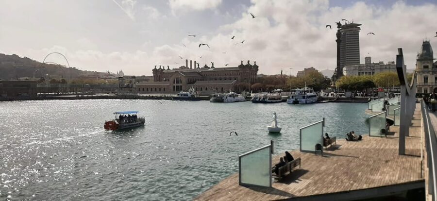 Barcelona: City Views Catamaran Cruise with Music - Analyzing the Value