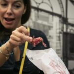 Barcelona: Food & Market Tapas Tour - Practical Details that Matter