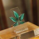 Barcelona: Hash Marihuana & Hemp Museum Entry Ticket - Final Thoughts