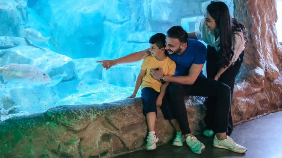Barcelona: Hop-On Hop-Off Bus & Aquarium Tour - Final Thoughts
