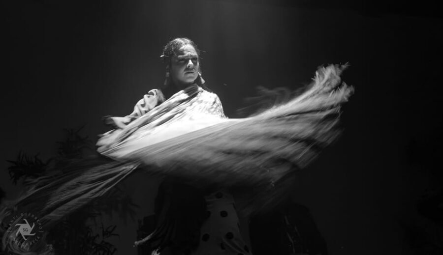 Barcelona: La Laietana Flamenco Show Ticket - Who Will Love This Experience?