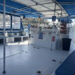 Barcelona: Luxury Catamaran Cruise w/ Music & Drinks - Who Will Love This Cruise?