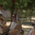 Barcelona: Luxury Wine Tour to Penedès with Tasting & Tapas - The Estate Tour & Tasting Experience