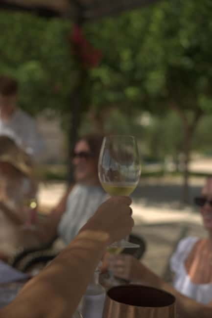 Barcelona: Luxury Wine Tour to Penedès with Tasting & Tapas - The Estate Tour & Tasting Experience