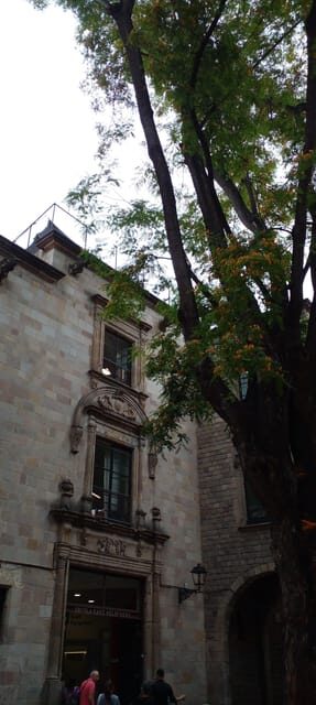 Barcelona: Mystical Walking Tour in the Gothic Quarter - The Itinerary: What Youll See and Experience