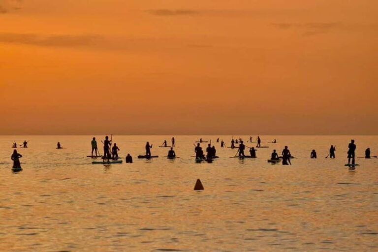 Barcelona: Paddleboard at sunrise. Inc.: teacher, photos/videos, material, equipment. - Who This Tour Is Perfect For