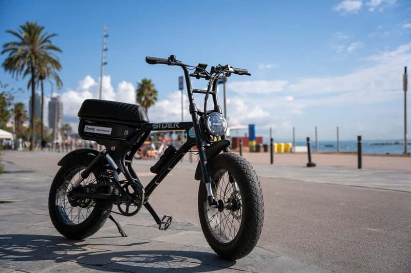 Barcelona: Private E-Fatbike Tour with Local Guide - Who Will Love This Tour?