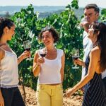 Barcelona: Sailing and Alella Winery Tour with Wine Tasting - The Value of This Tour