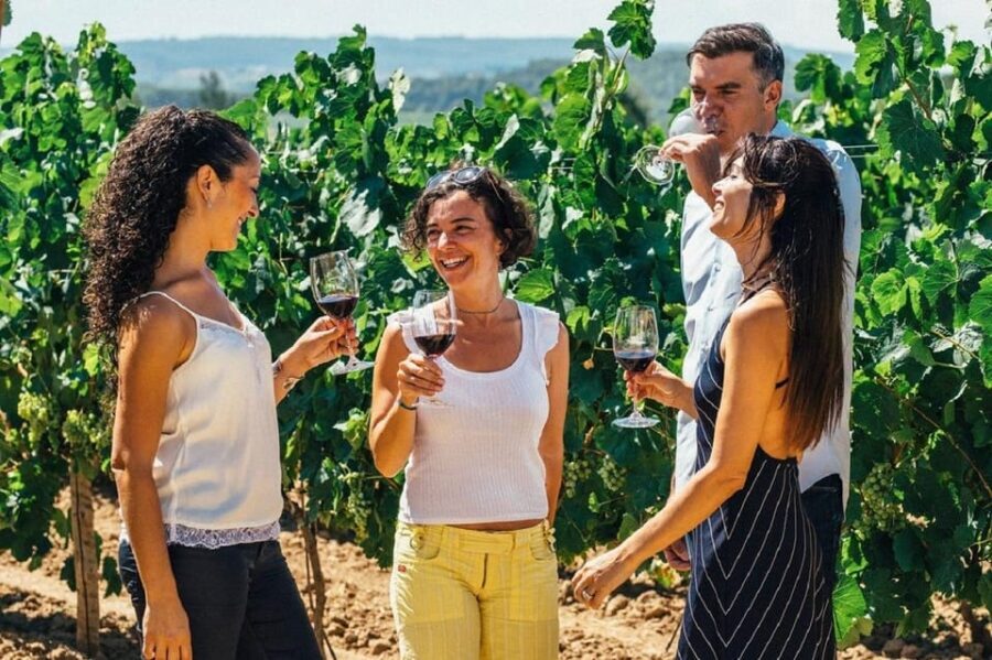 Barcelona: Sailing and Alella Winery Tour with Wine Tasting - The Value of This Tour