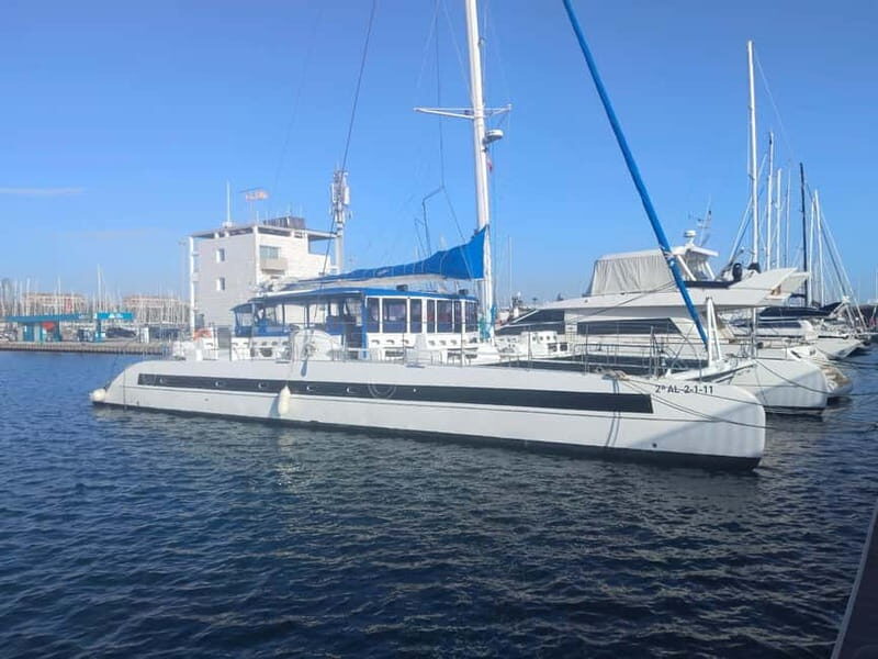 Barcelona: Shared cruise with chill music - Who Is This Experience Best For?