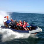 Barcelona: Speedboat Coastline Tour - The Experience from Multiple Perspectives