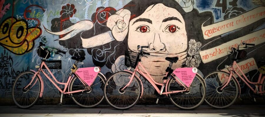 Barcelona | Street Art Bike tour, Moco Museum - Who Will Love This Tour?