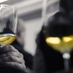Barcelona Wine Tasting: Catalan and Spanish Wines - What Makes the Wines Special?