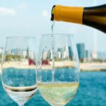 Barcelona Wine Tasting Private Tour with Wine Expert - Authentic Wines and Food