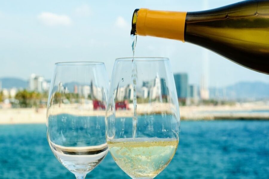 Barcelona Wine Tasting Private Tour with Wine Expert - Authentic Wines and Food