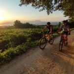 Bardolino: e-bike tour and wine tasting on the hills - Frequently Asked Questions