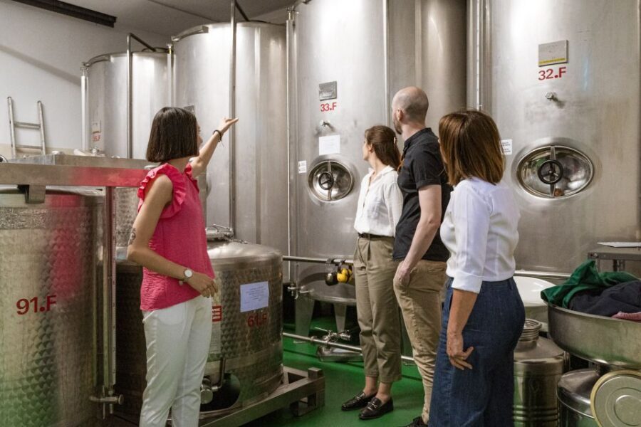 Bardolino: Lake Garda Oil Mill Tour with Olive Oil Tasting - Who Should Consider This Tour?