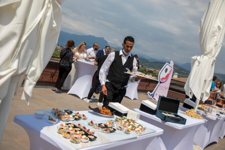 Bardolino: tasting of 6 red Valpolicella and Garda wines - What Travelers Are Saying