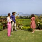 Bardolino: Vineyard Tour with Wine and Food Tasting - The Walkthrough of the Tour