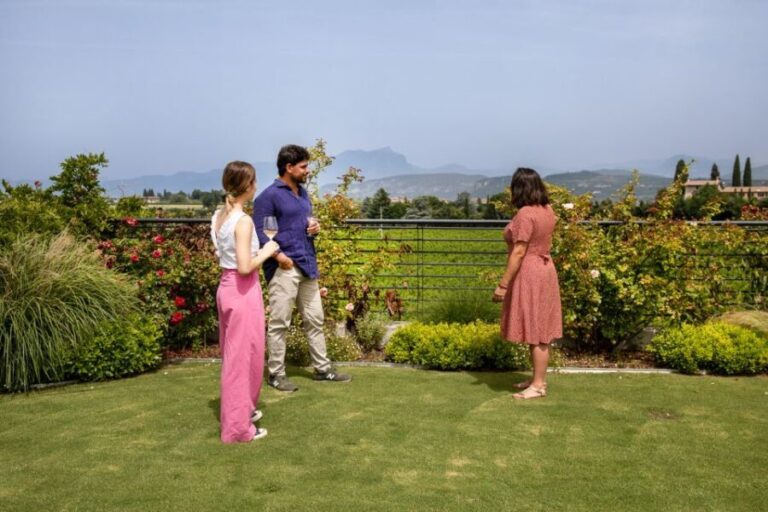 Bardolino: Vineyard Tour with Wine and Food Tasting - The Walkthrough of the Tour