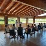 Bardolino: Vineyard Tour with Wine, Olive Oil & Food Tasting - Who Should Consider This Tour?