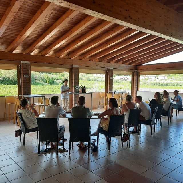 Bardolino: Vineyard Tour with Wine, Olive Oil & Food Tasting - Who Should Consider This Tour?