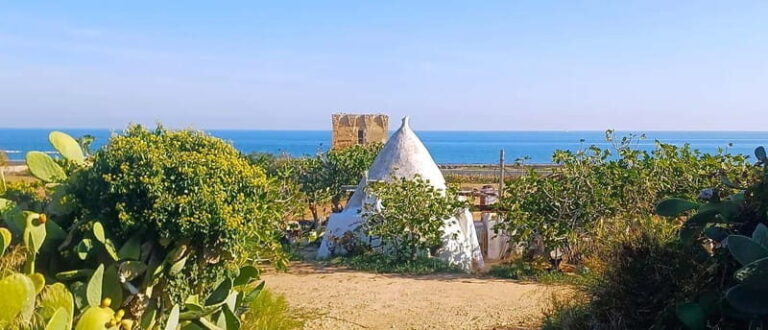 Bari: Tour Polignano Alberobello Matera (Private or Shared) - Who Should Consider This Tour?