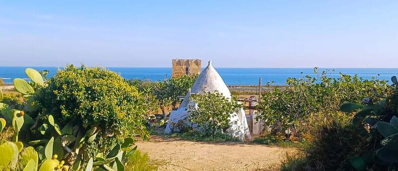 Bari: Tour Polignano Alberobello Matera (Private or Shared) - Who Should Consider This Tour?