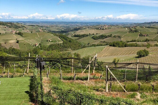 Barolo & CO: visit and tasting - The Tasting Experience