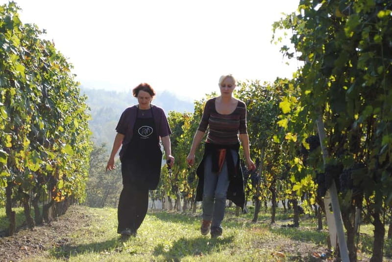 BAROLO: GUIDED VISIT TO THE WINERY AND TASTING WITH THE PRODUCER - Why This Experience Works for You