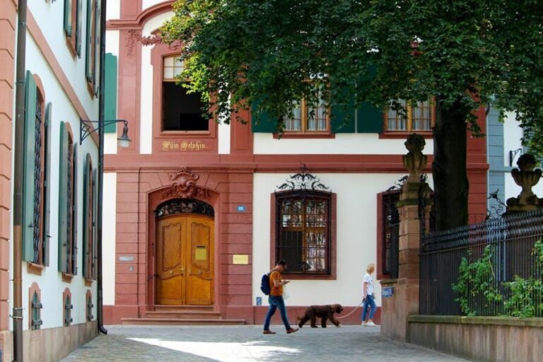 Basel private guided city tour - A Breakdown of the Itinerary