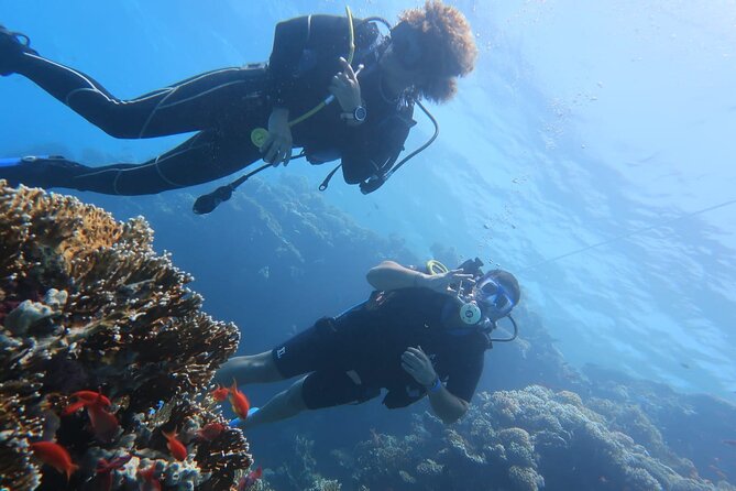 Basic Scuba Diver - A Closer Look at the Itinerary and Experience