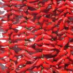 Basque Country Food Tour - Why This Tour Offers Good Value